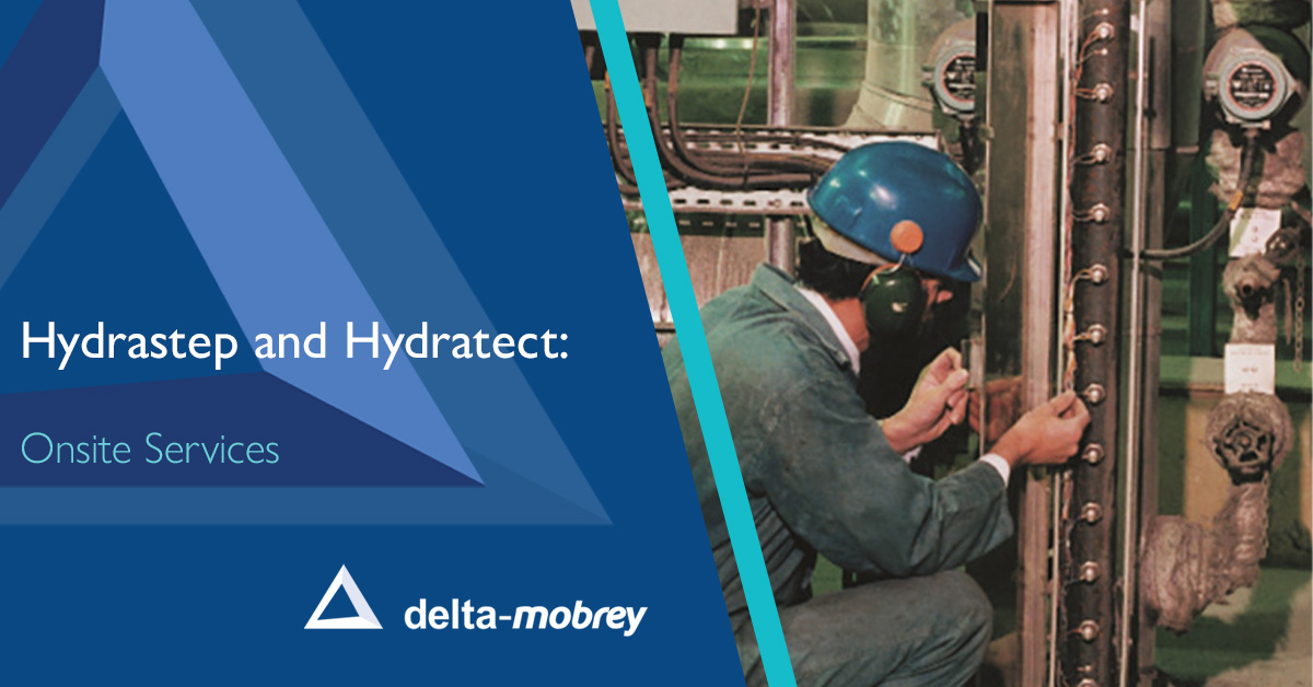 Hydrastep and Hydratect: Onsite Services | Delta Mobrey